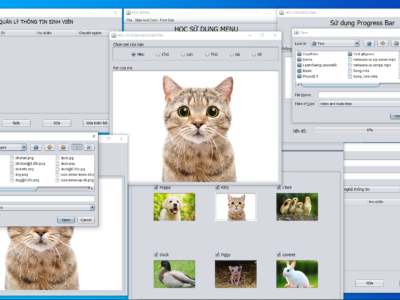 Home - Branium Academy